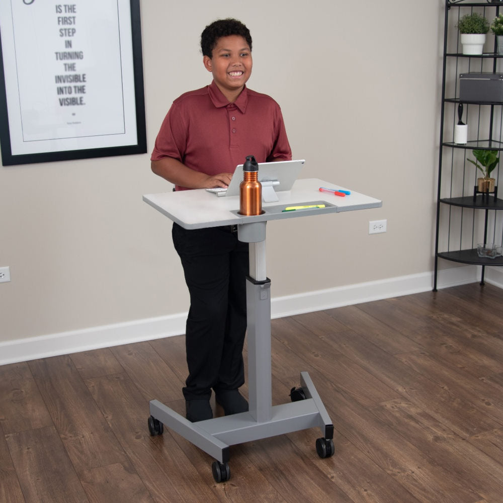 Luxor Pneumatic Adjustable Mobile Student Sit Stand Desk – Ergo ...